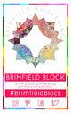 The Brimfield Block QBPN Pattern – Quilting Books Patterns and Notions