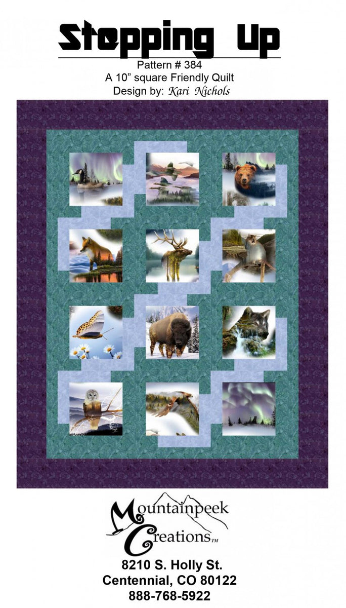 Stepping Up Quilters – Quilting Books Patterns and Notions