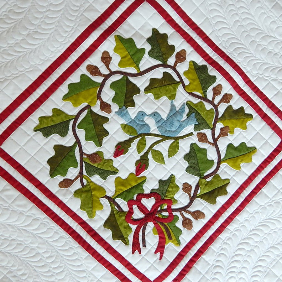 Baltimore Glory Pattern – Quilting Books Patterns and Notions